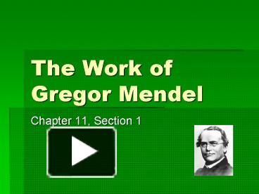 The Work of Gregor Mendel presentation | free to download