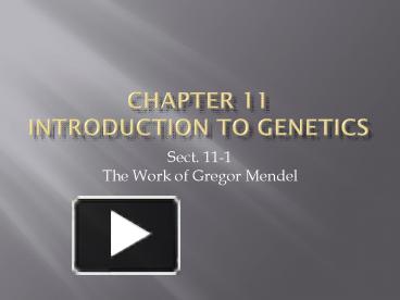 Chapter 11 Introduction To Genetics presentation | free to view