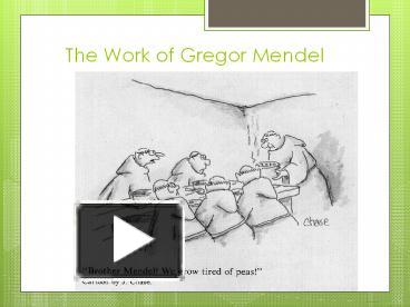 The Work of Gregor Mendel presentation | free to download