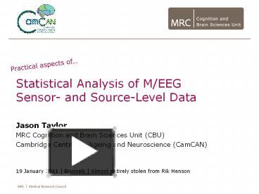 Statistical Analysis of M/EEG Sensor- and Source-Level Data presentation | free to download