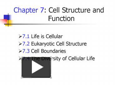 Chapter 7: Cell Structure and Function presentation | free to view