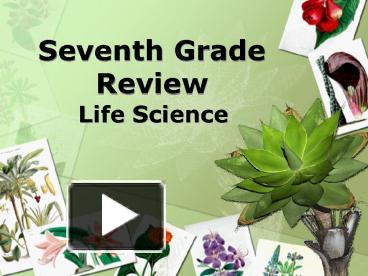 Seventh Grade Review presentation | free to view