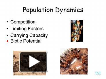PPT – Population Dynamics PowerPoint presentation | free to view - id ...
