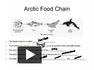 Arctic Food Chain presentation | free to view