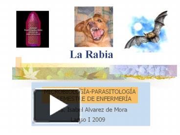 La Rabia presentation | free to view