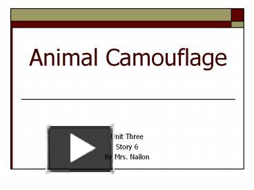 Animal Camouflage presentation | free to download