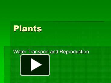 PPT – Plants PowerPoint presentation | free to view - id: 7885b1-NDQ4Y