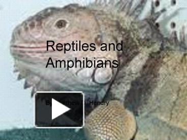 PPT – Reptiles and Amphibians PowerPoint presentation | free to ...