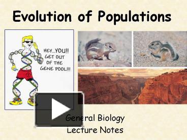 PPT – Evolution of Populations PowerPoint presentation | free to view ...