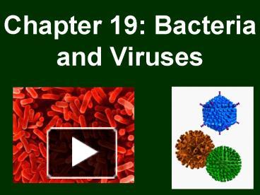 Chapter 19: Bacteria and Viruses presentation | free to view