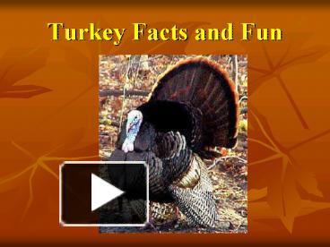 PPT – Turkey Facts and Fun PowerPoint presentation | free to view - id ...