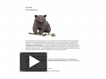 PPT – Civet Coffee PowerPoint presentation | free to download - id: 794e9f-NjRiM