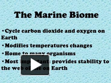 PPT – The Marine Biome PowerPoint presentation | free to view - id ...