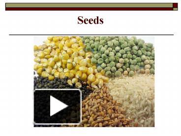 Seeds presentation | free to view