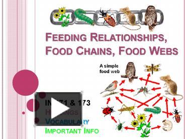 Feeding Relationships, Food Chains, Food Webs IN 171 presentation ...