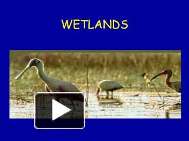 WETLANDS presentation | free to download