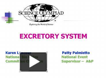 PPT – EXCRETORY SYSTEM PowerPoint presentation | free to view - id ...