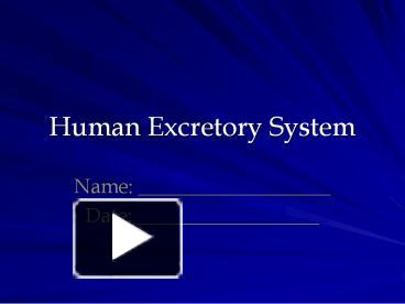 Human Excretory System presentation | free to view