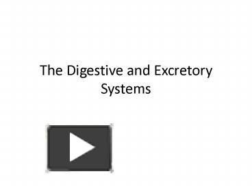 PPT – The Digestive and Excretory Systems PowerPoint presentation ...