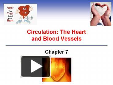 Circulation: The Heart and Blood Vessels presentation | free to download
