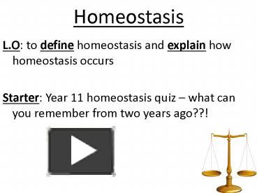 PPT – Homeostasis PowerPoint presentation | free to download - id ...