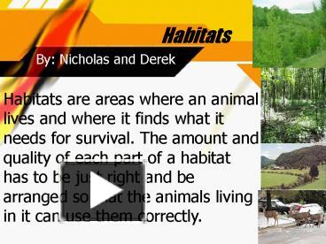 Habitats presentation | free to download