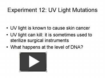Experiment 12: UV Light Mutations presentation | free to view