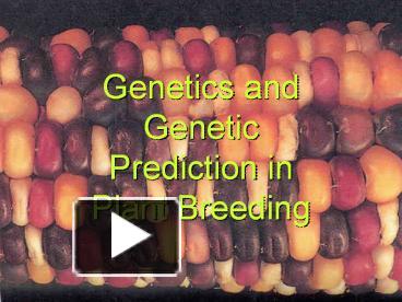 Genetics and Genetic Prediction in Plant Breeding presentation | free ...
