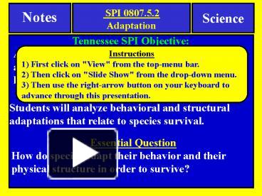 PPT – Tennessee SPI Objective: PowerPoint presentation | free to view ...