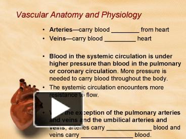 Vascular Anatomy and Physiology presentation | free to view