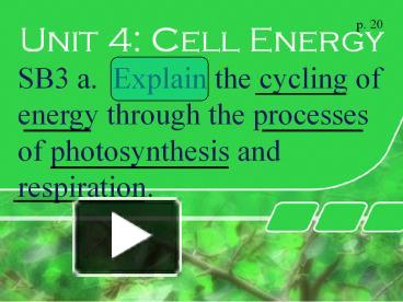 PPT – Unit 4: Cell Energy PowerPoint presentation | free to download ...