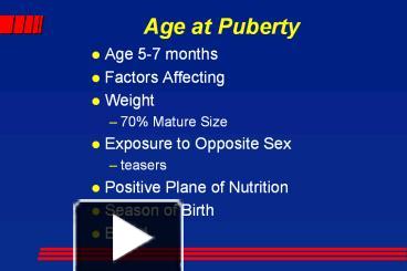 Age at Puberty presentation | free to view