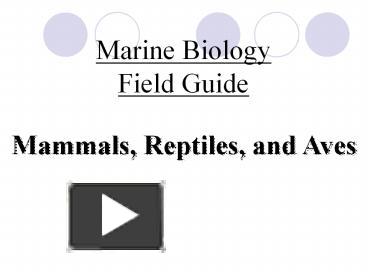PPT – Marine Biology PowerPoint presentation | free to download - id ...