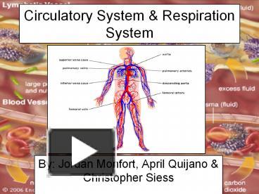 Circulatory System presentation | free to download