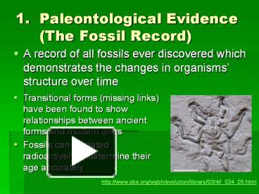 Paleontological Evidence (The Fossil Record) presentation | free to view