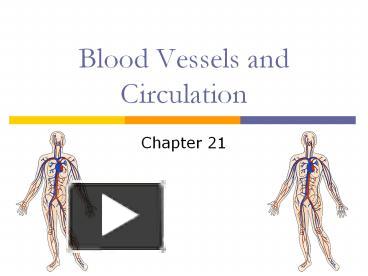Blood Vessels and Circulation presentation | free to view