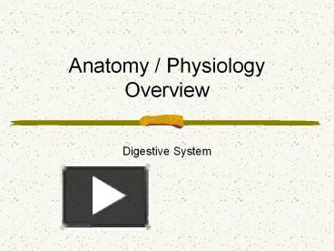 PPT – Anatomy / Physiology Overview PowerPoint presentation | free to ...