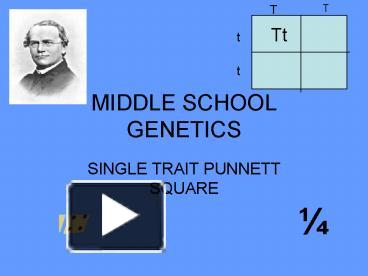 MIDDLE SCHOOL GENETICS presentation | free to view