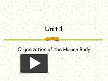 Organization of the Human Body presentation | free to download