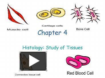 Histology: Study of Tissues presentation | free to download