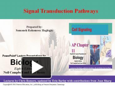 Signal Transduction Pathways presentation | free to download