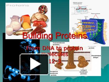 Building Proteins presentation | free to download
