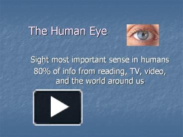 PPT – The Human Eye PowerPoint presentation | free to view - id: 7dcf9b ...