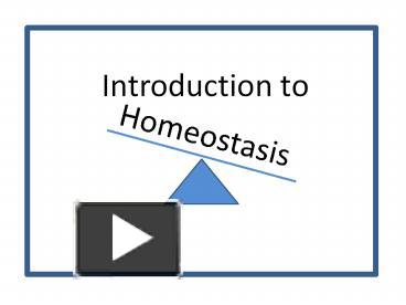 PPT – Homeostasis PowerPoint presentation | free to download - id ...