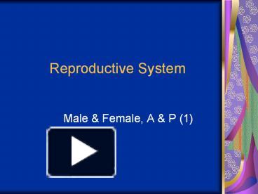 Reproductive System presentation | free to download
