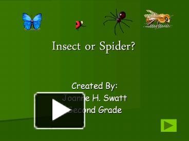 Insect or Spider? presentation | free to view