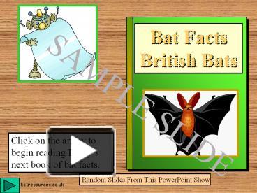 Bat Facts presentation | free to download