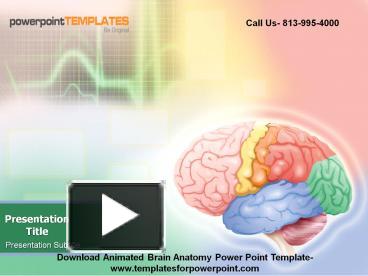 Editable Animated Brain Anatomy Powerpoint Template presentation | free ...
