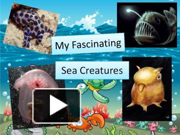 Fascinating Sea Creatures presentation | free to download
