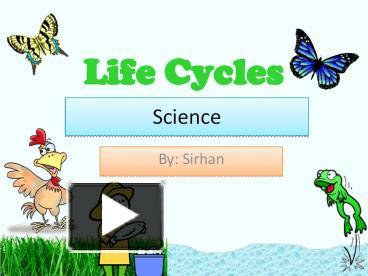 Life Cycle of Animal presentation | free to download